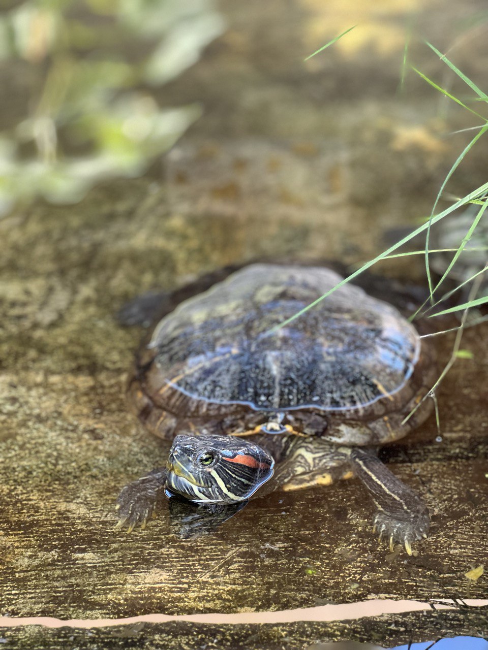 CFC Big Ideas helps USAGM with post-training activities in Malaysia and ...